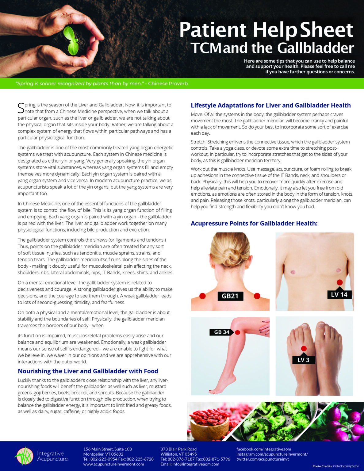 The Gallbladder According to Chinese Medicine